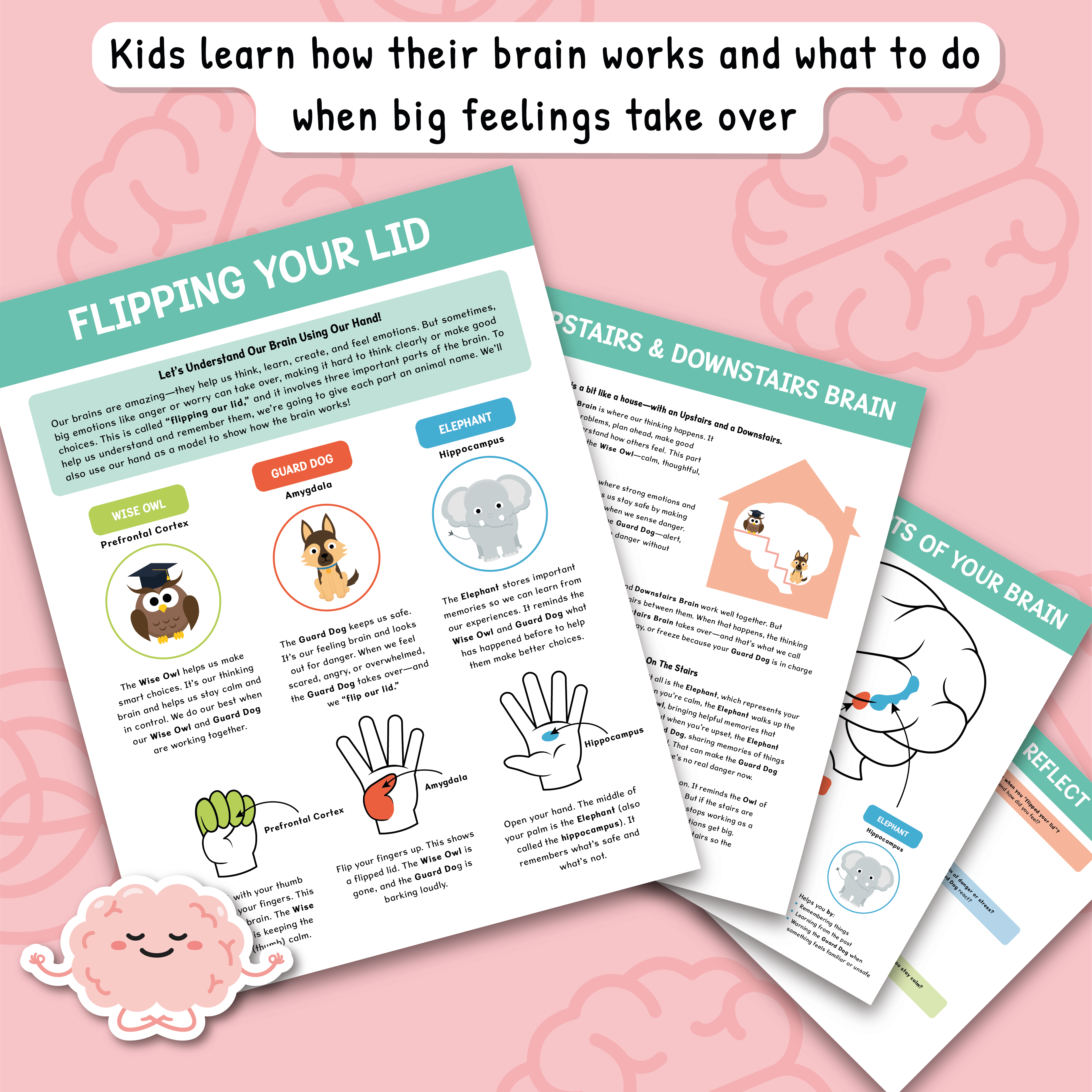 Brain Hand Model | Emotional Regulation | Flip Your Lid – Build a ...