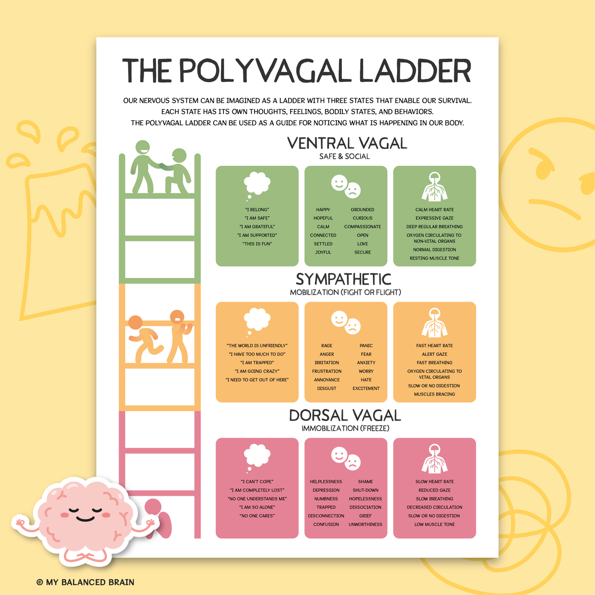 The Polyvagal Ladder | Nervous System Regulation | Trauma | Fight ...
