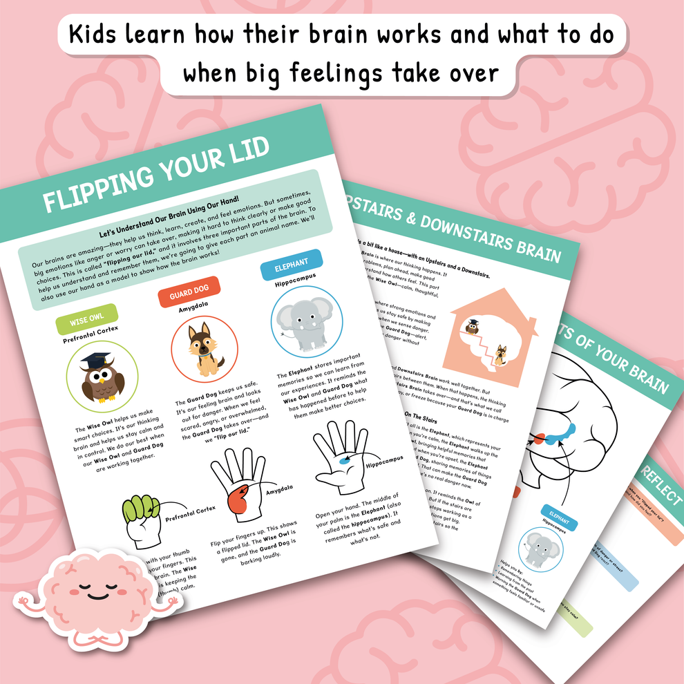 Brain Hand Model | Emotional Regulation | Flip Your Lid – Build a ...