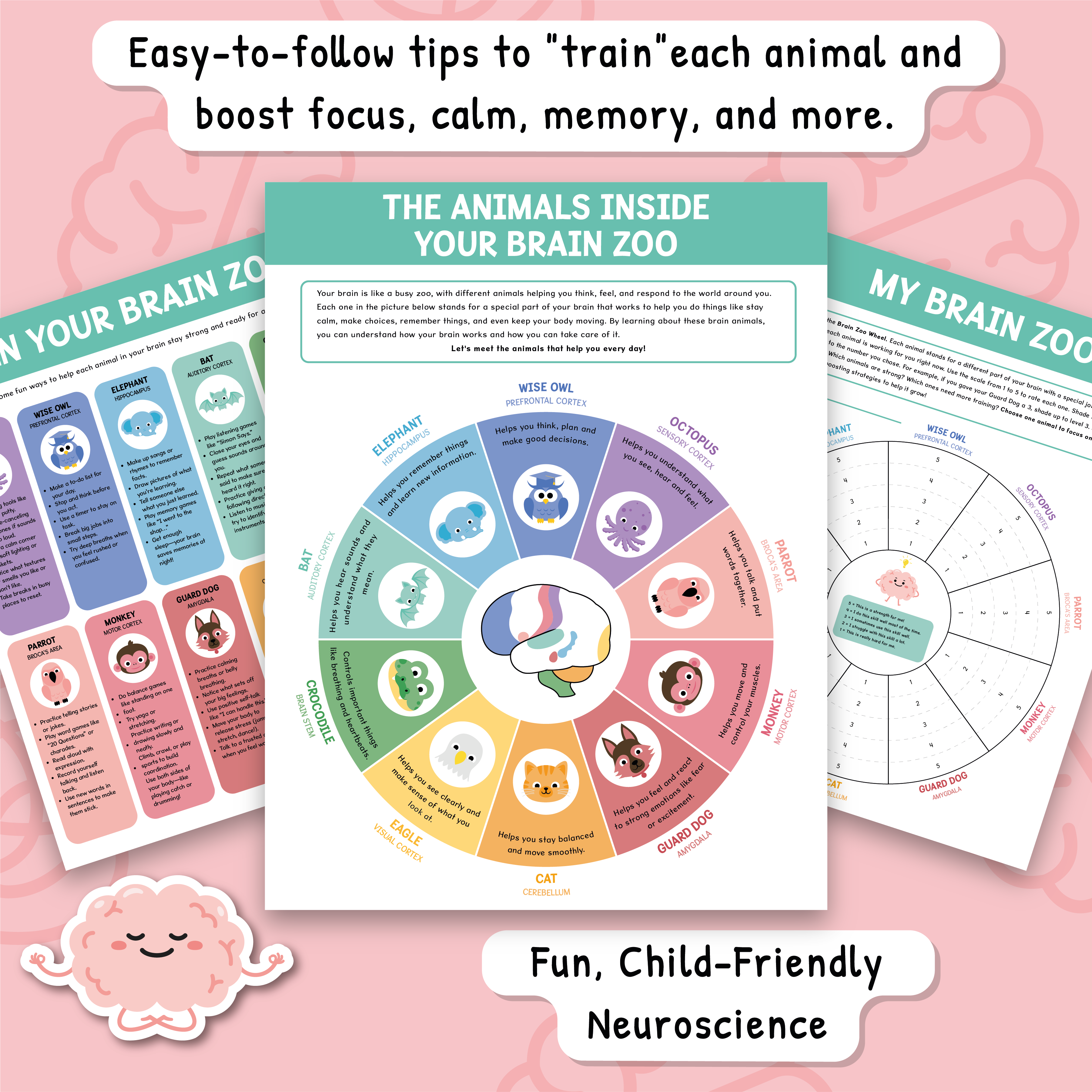 Brain Regions for Kids | Neuroscience Education for Children – Build a ...